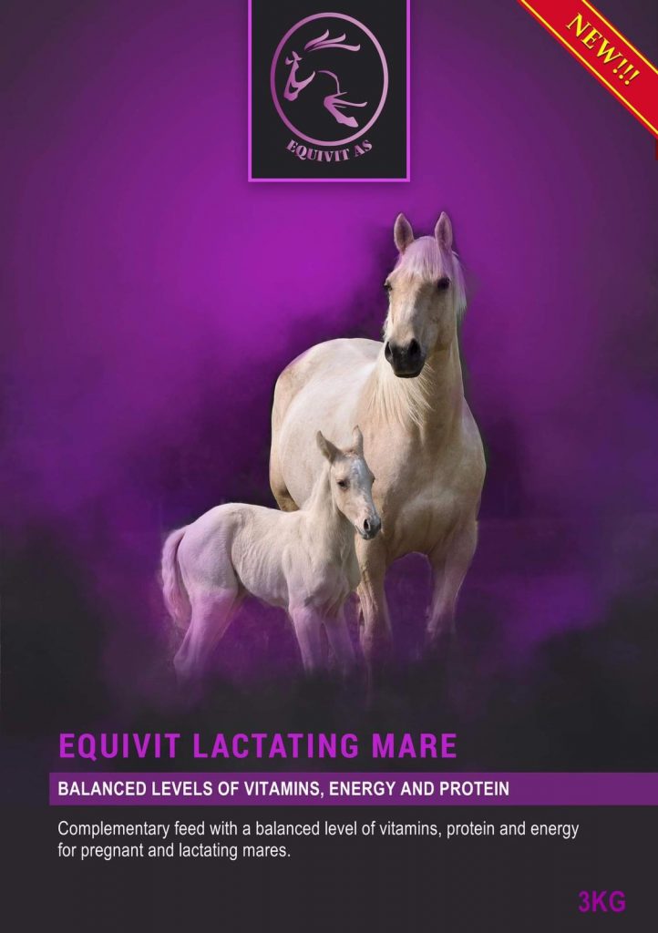 EQUIVIT LACTATING MARE ™️ – Equi Fit Elite